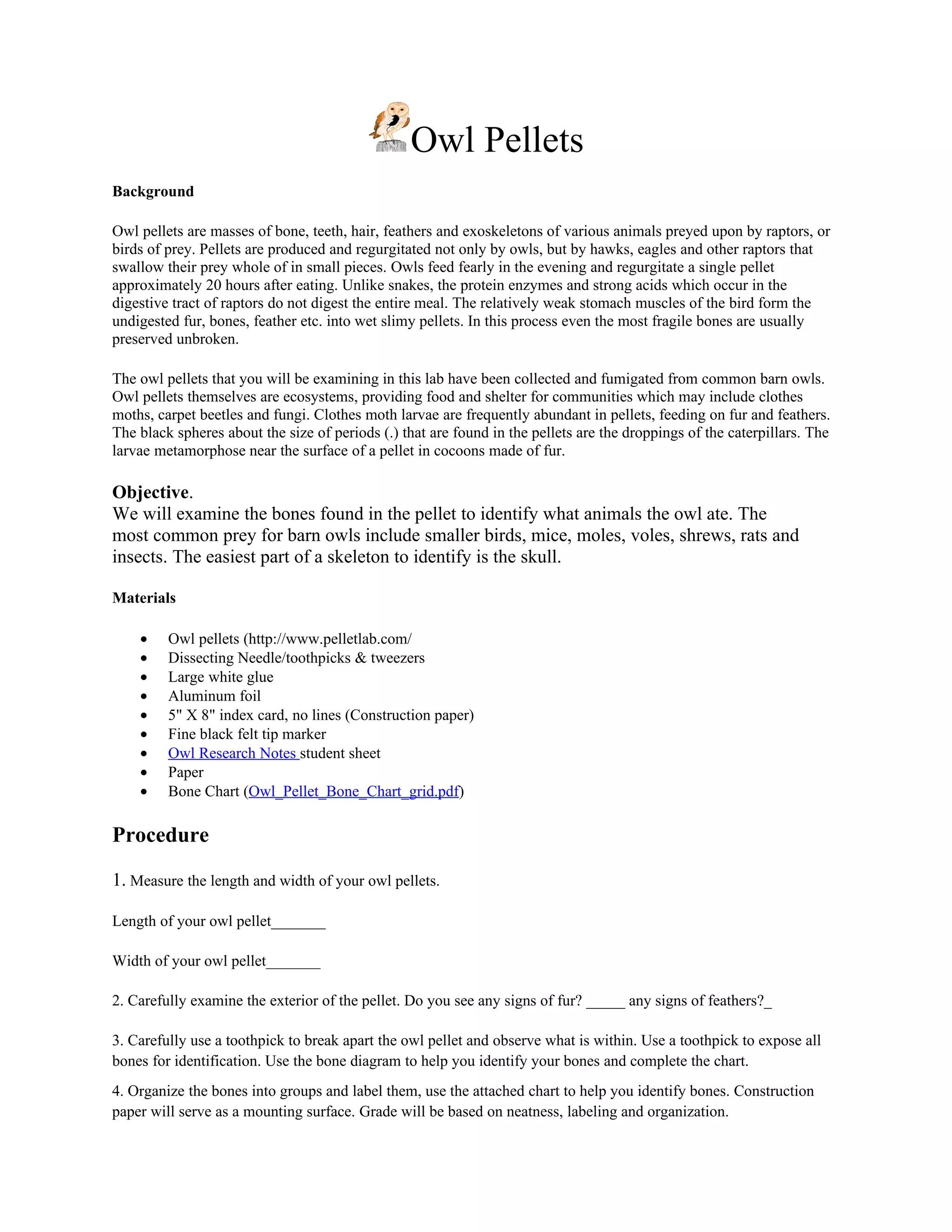 Owl wordsearch | DOC