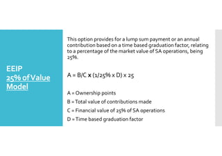 BEE Ownership Options | PDF