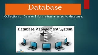 database ppt | PPT