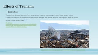 Tsunami_Occurrence_by_lavanya-1.pptx