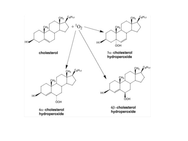 PHOTO-OXIDATION | PPTX | Chemistry | Science