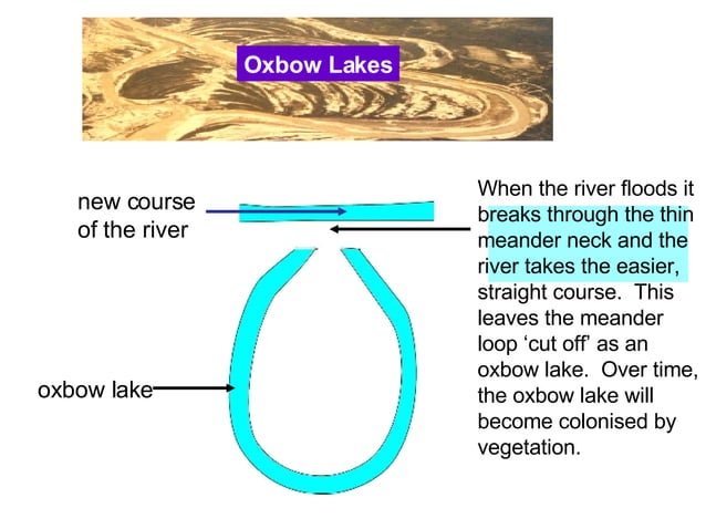 Ox-bow Lake formation | PPT