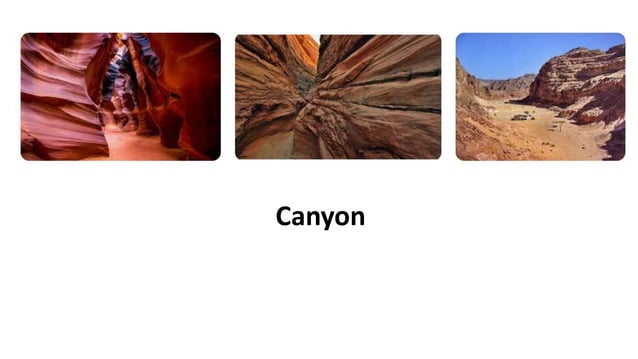 Oxford discover 3 unit 1.pptx