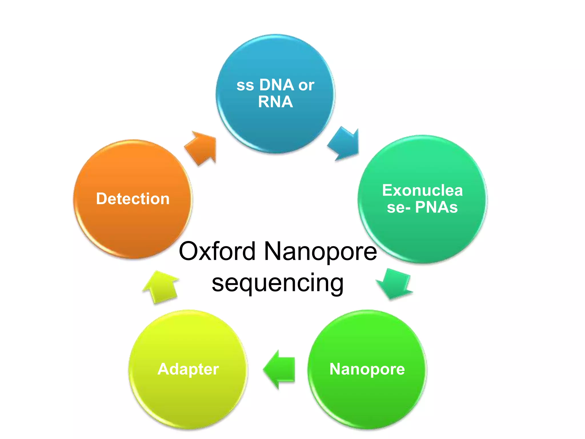 Oxford nanopore sequencing | PPTX