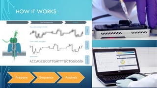 Oxford nanopore yuweibao | PDF
