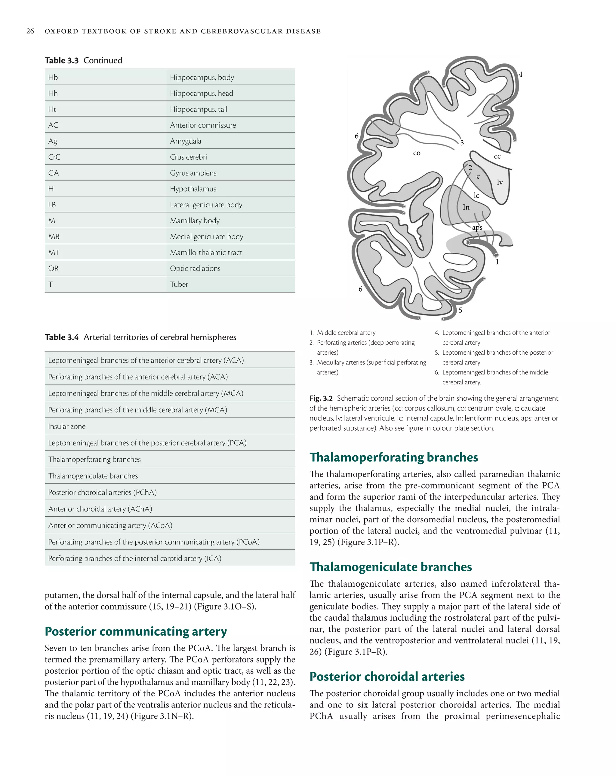 Oxford textbook of stroke and cerebrovascular disease ( PDFDrive ).pdf