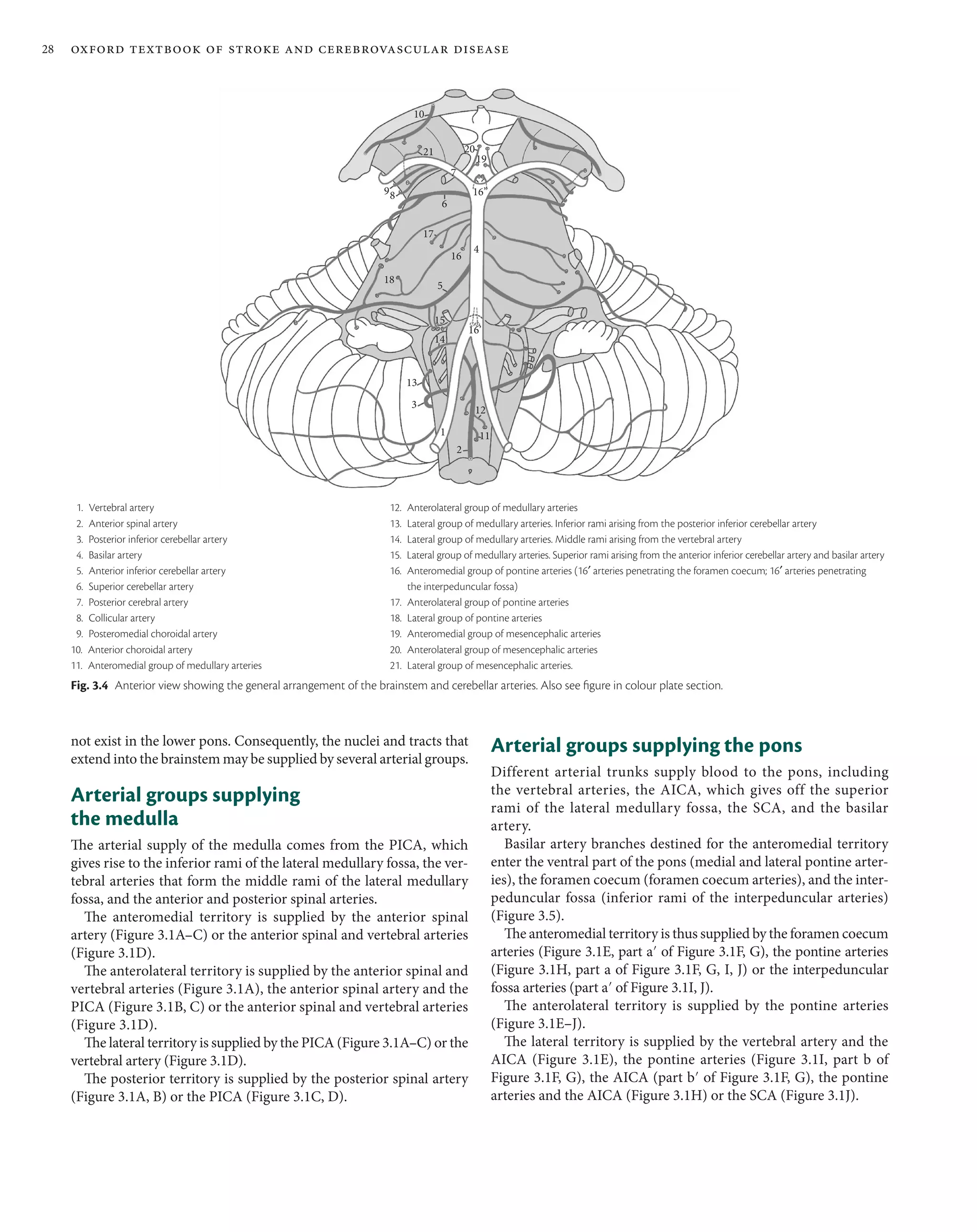 Oxford textbook of stroke and cerebrovascular disease ( PDFDrive ).pdf