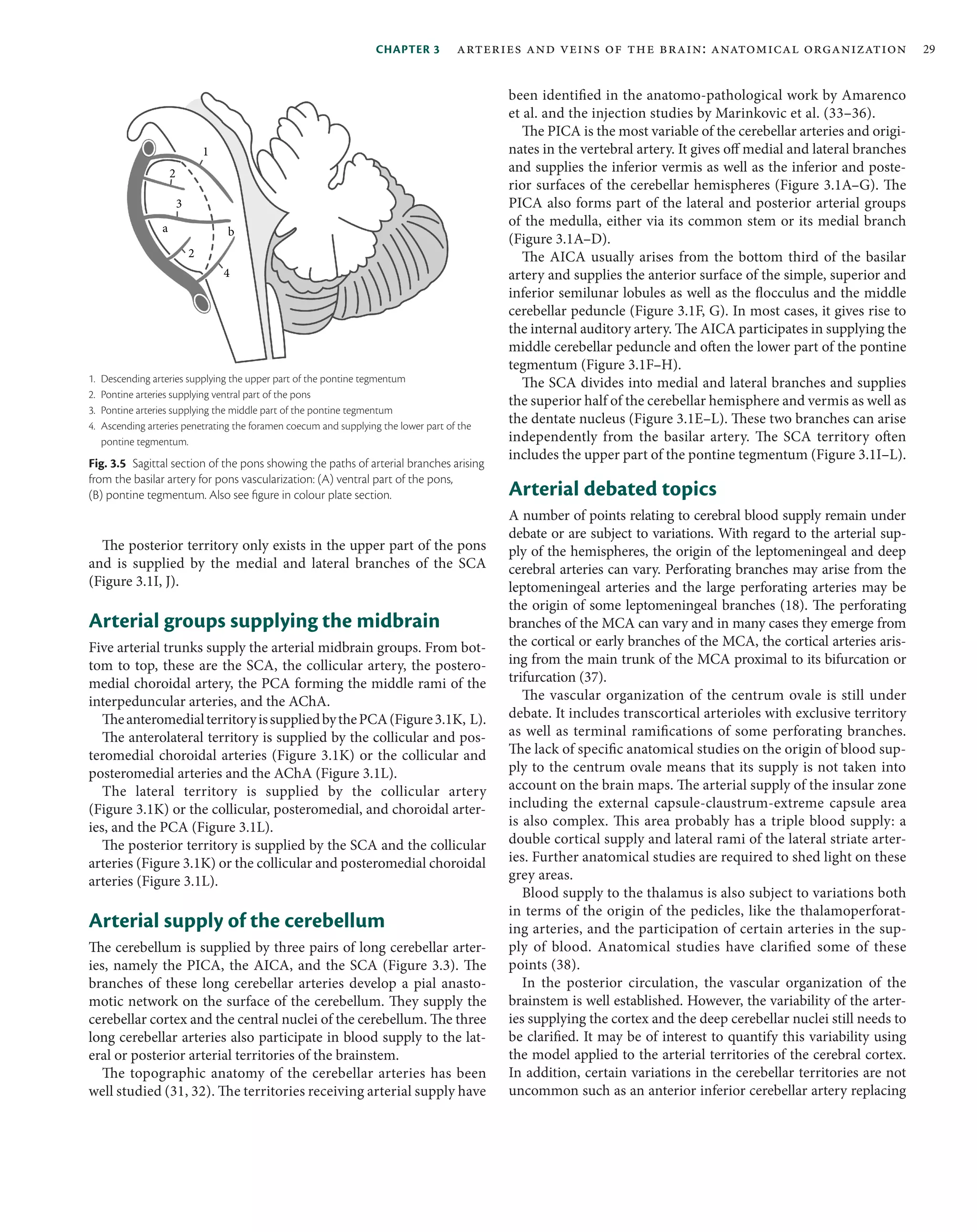 Oxford textbook of stroke and cerebrovascular disease ( PDFDrive ).pdf