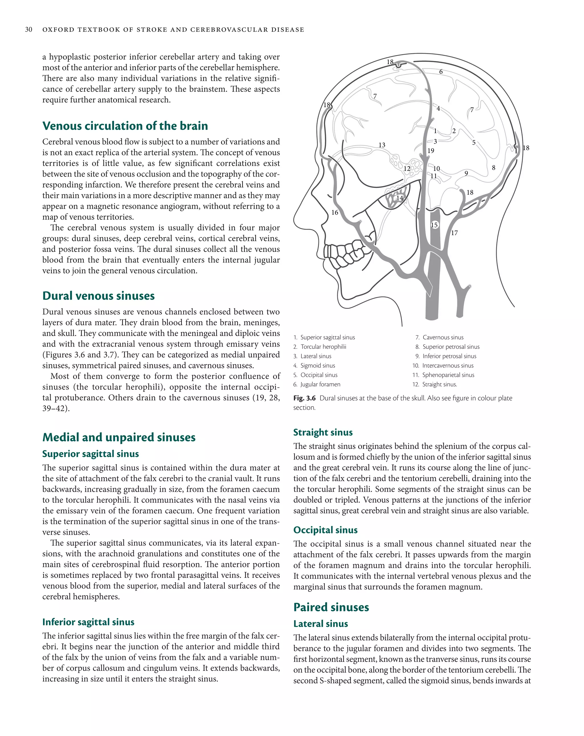 Oxford textbook of stroke and cerebrovascular disease ( PDFDrive ).pdf
