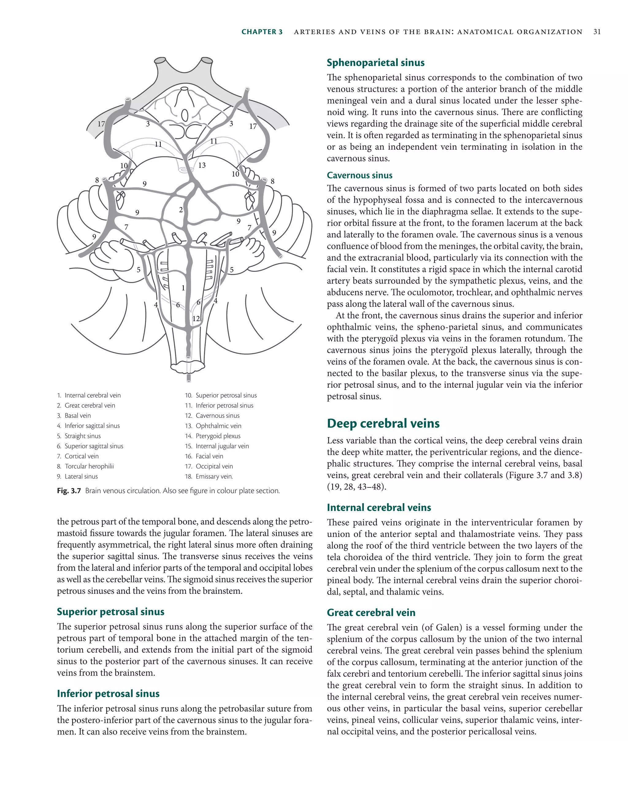 Oxford textbook of stroke and cerebrovascular disease ( PDFDrive ).pdf