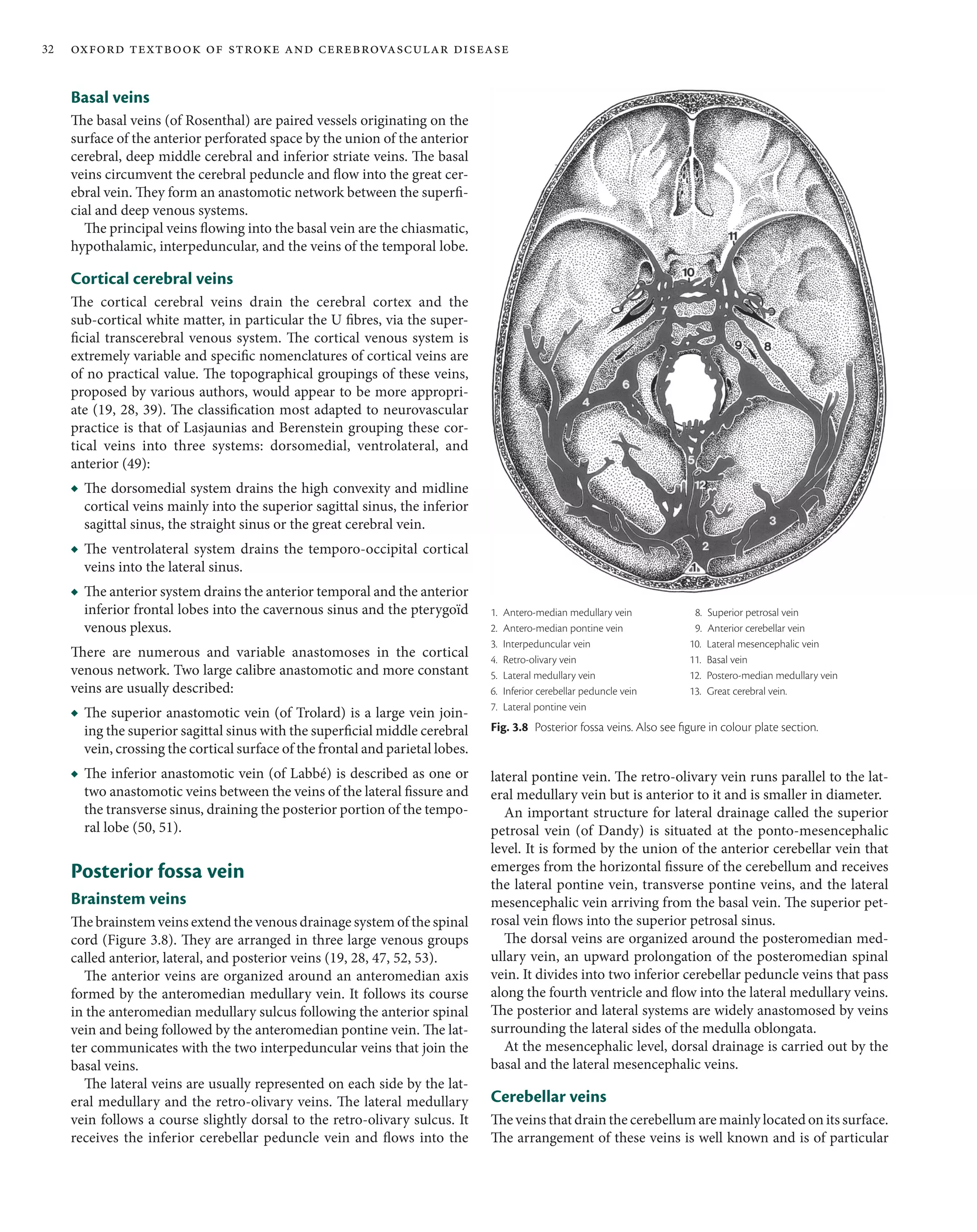 Oxford textbook of stroke and cerebrovascular disease ( PDFDrive ).pdf