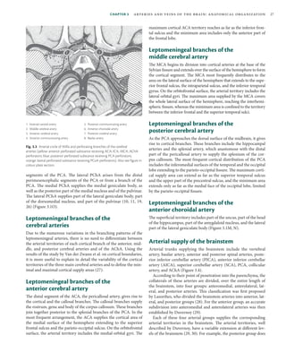 Oxford textbook of stroke and cerebrovascular disease ( PDFDrive ).pdf