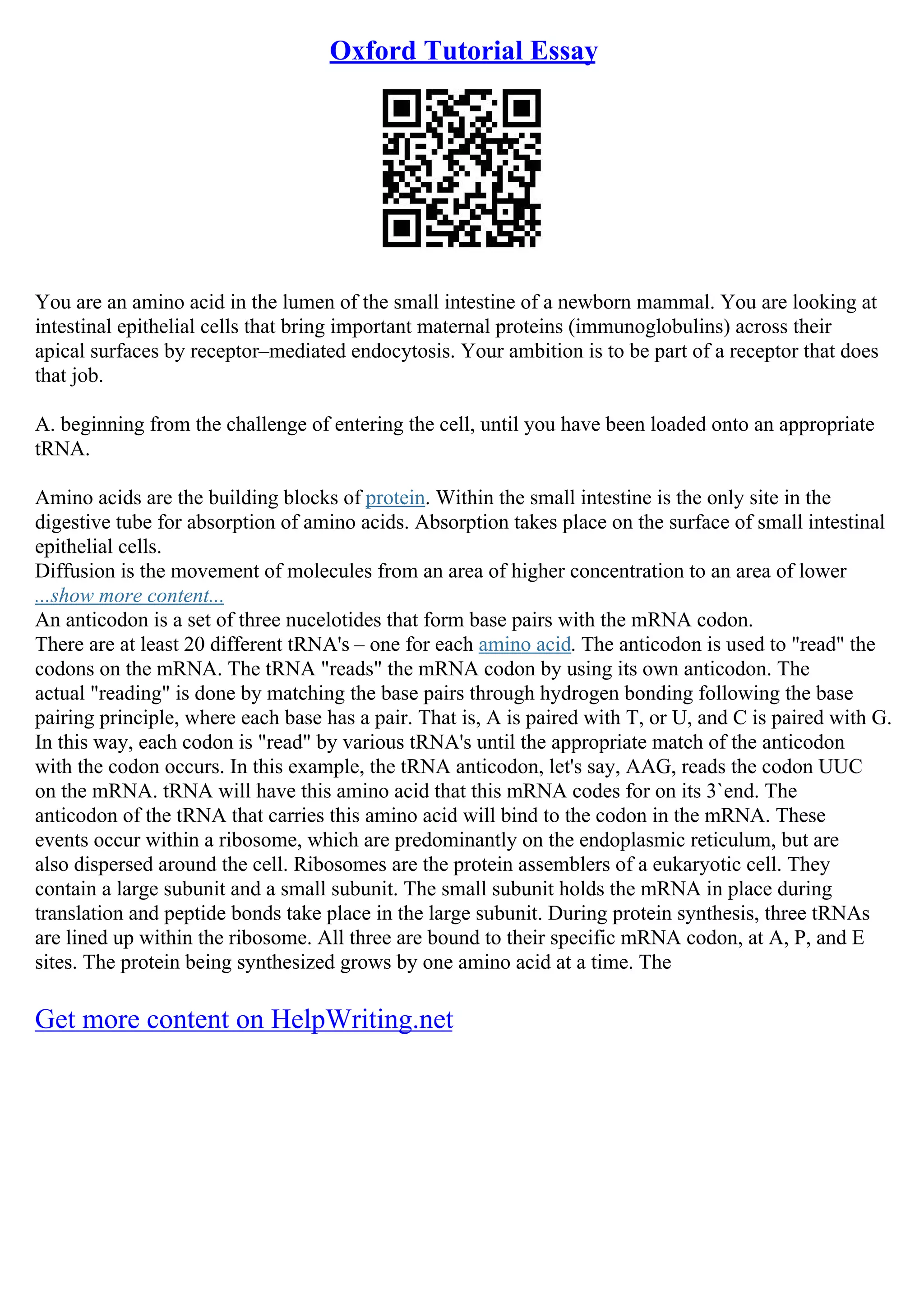 Oxford Tutorial Essay | PDF | Programming Languages | Computing