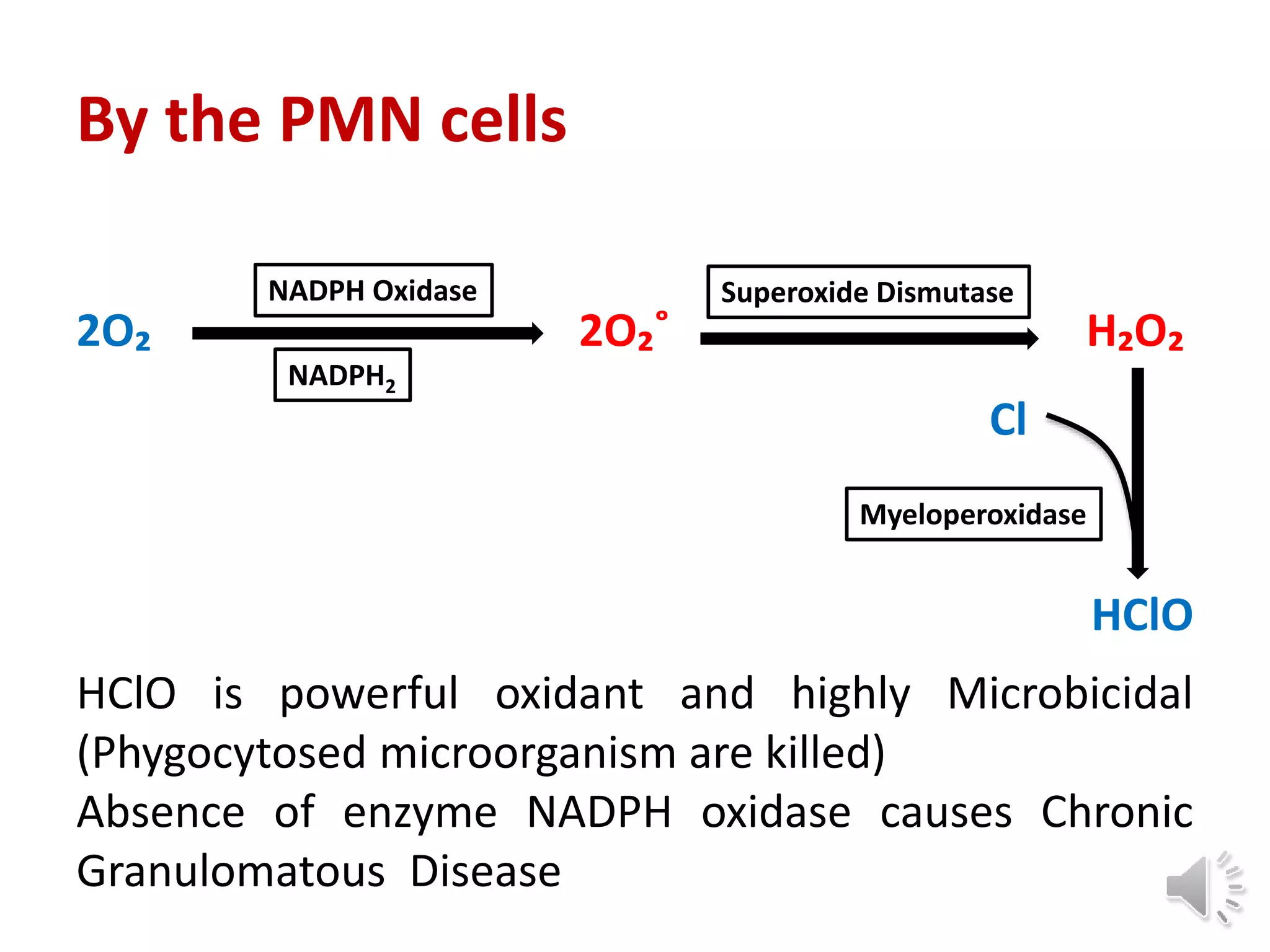 Oxidative stress and antioxidants | PPTX