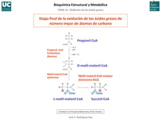 oxidacion-de-acidos-grasos.bioquimica.pdf
