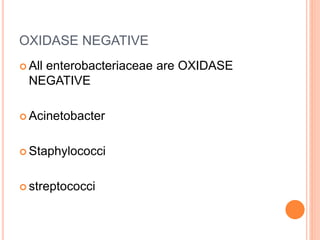 Oxidase Test