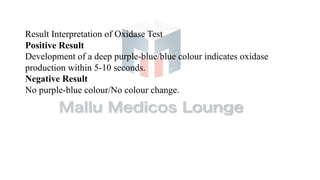 Oxidase Test Microbiology | PDF
