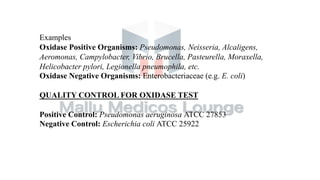Oxidase Test Microbiology | PDF