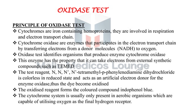 Oxidase Test Microbiology | PDF | Chemistry | Science