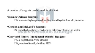 Oxidase Test Microbiology | PDF