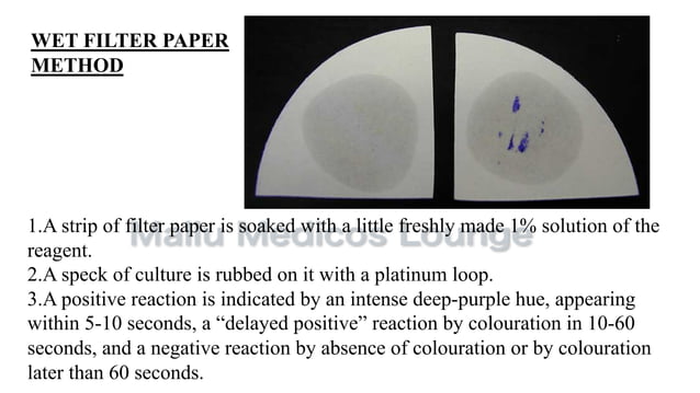 Oxidase Test Microbiology | PDF | Chemistry | Science