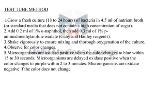Oxidase Test Microbiology | PDF