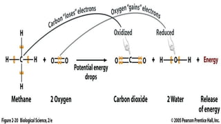 Oxidation and Reduction and Reactions.pptx