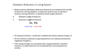 oxidation and reduction reaction in living system.pptx