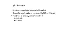 oxidation and reduction reaction in living system.pptx