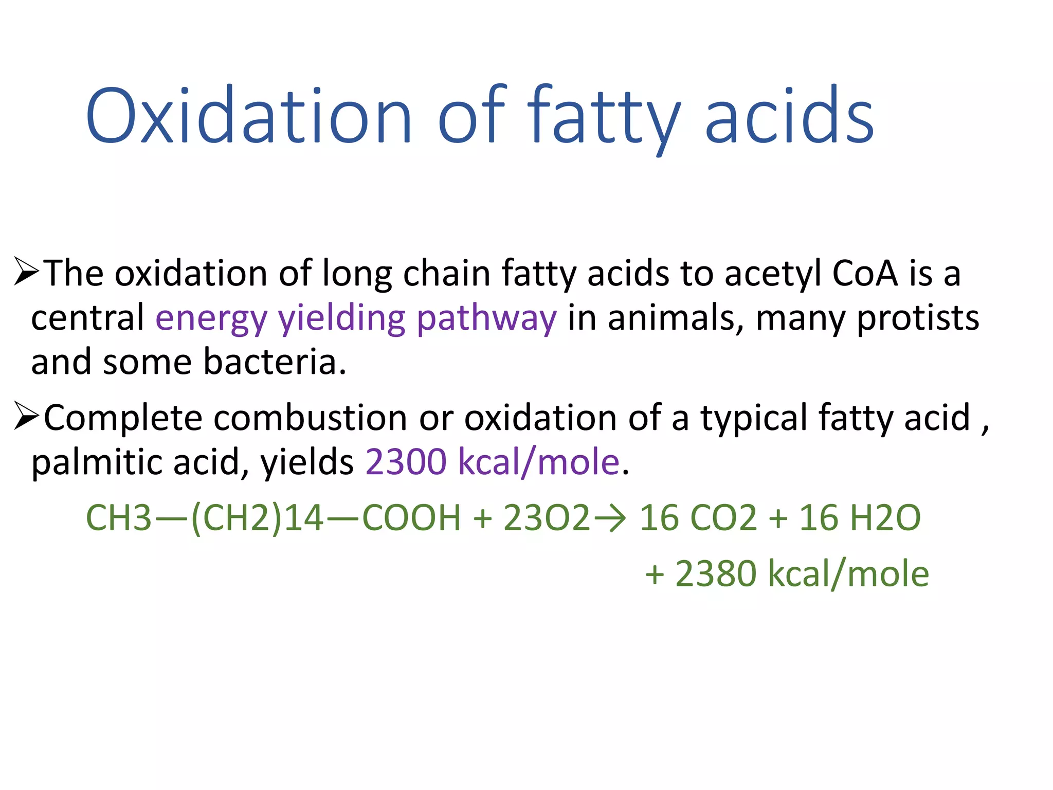 Oxidation of fatty acid | PPT