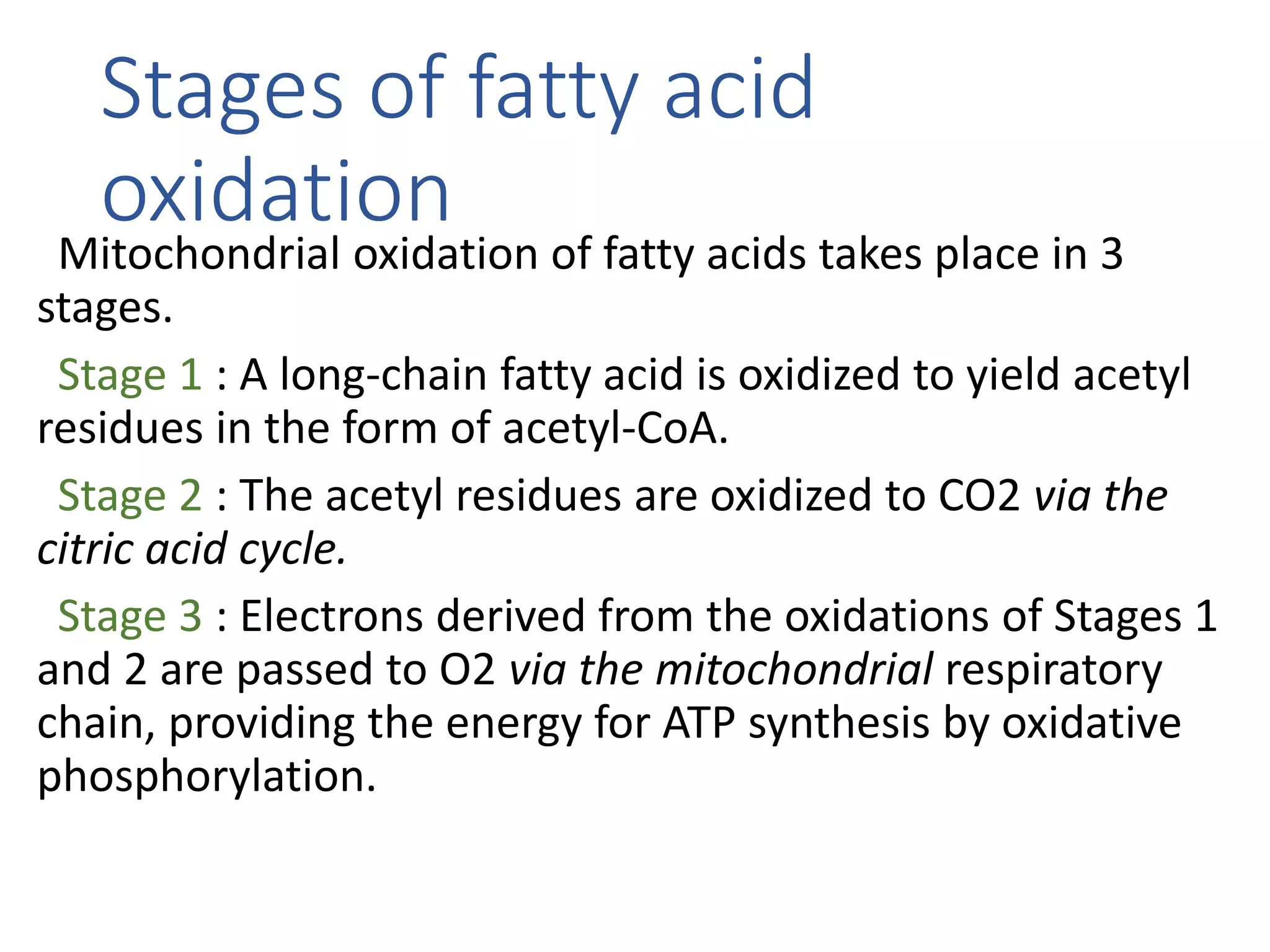 Oxidation of fatty acid | PPT