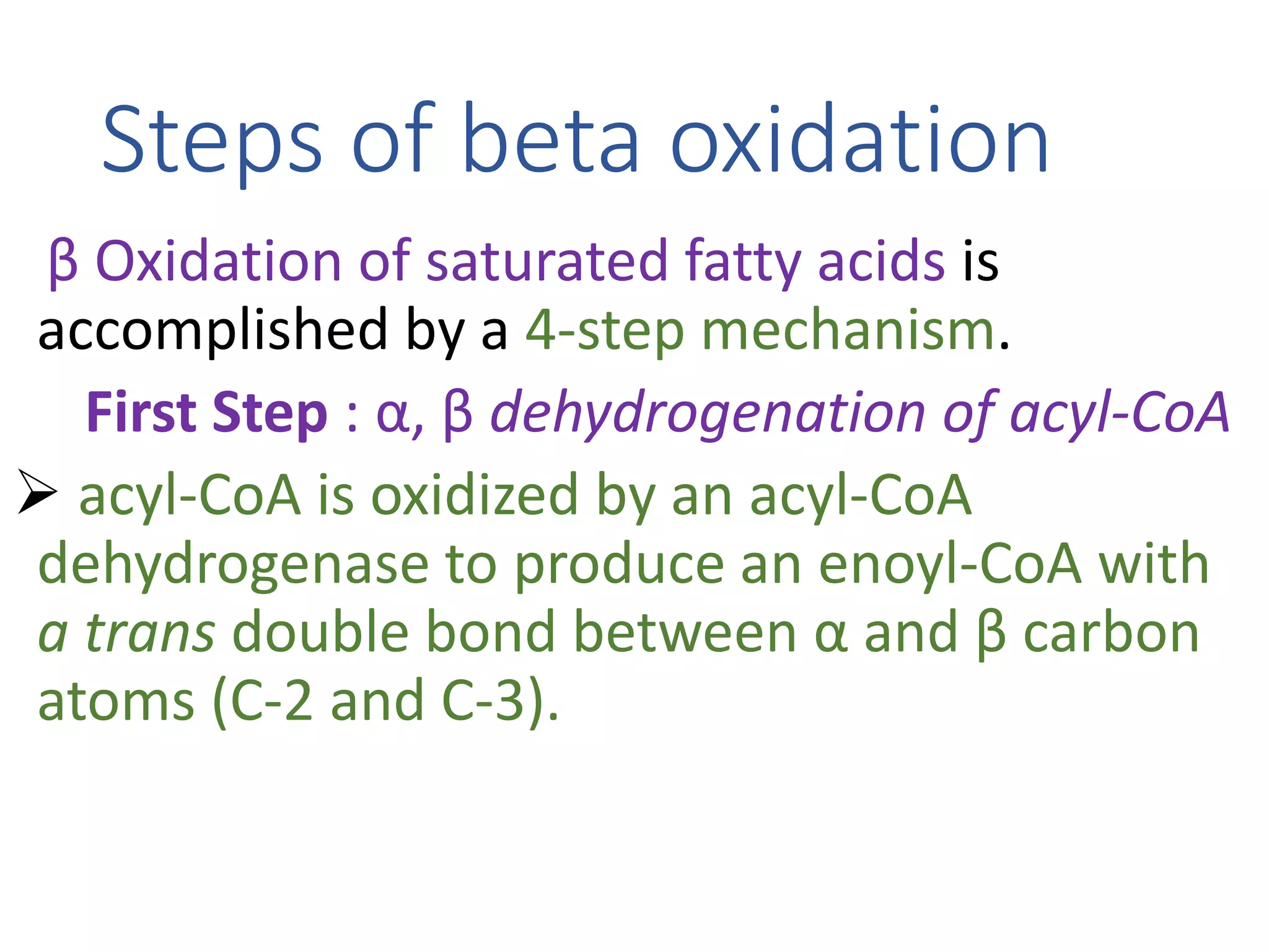 Oxidation of fatty acid | PPT