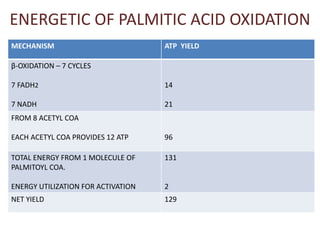 Oxidation of fatty acid | PPT