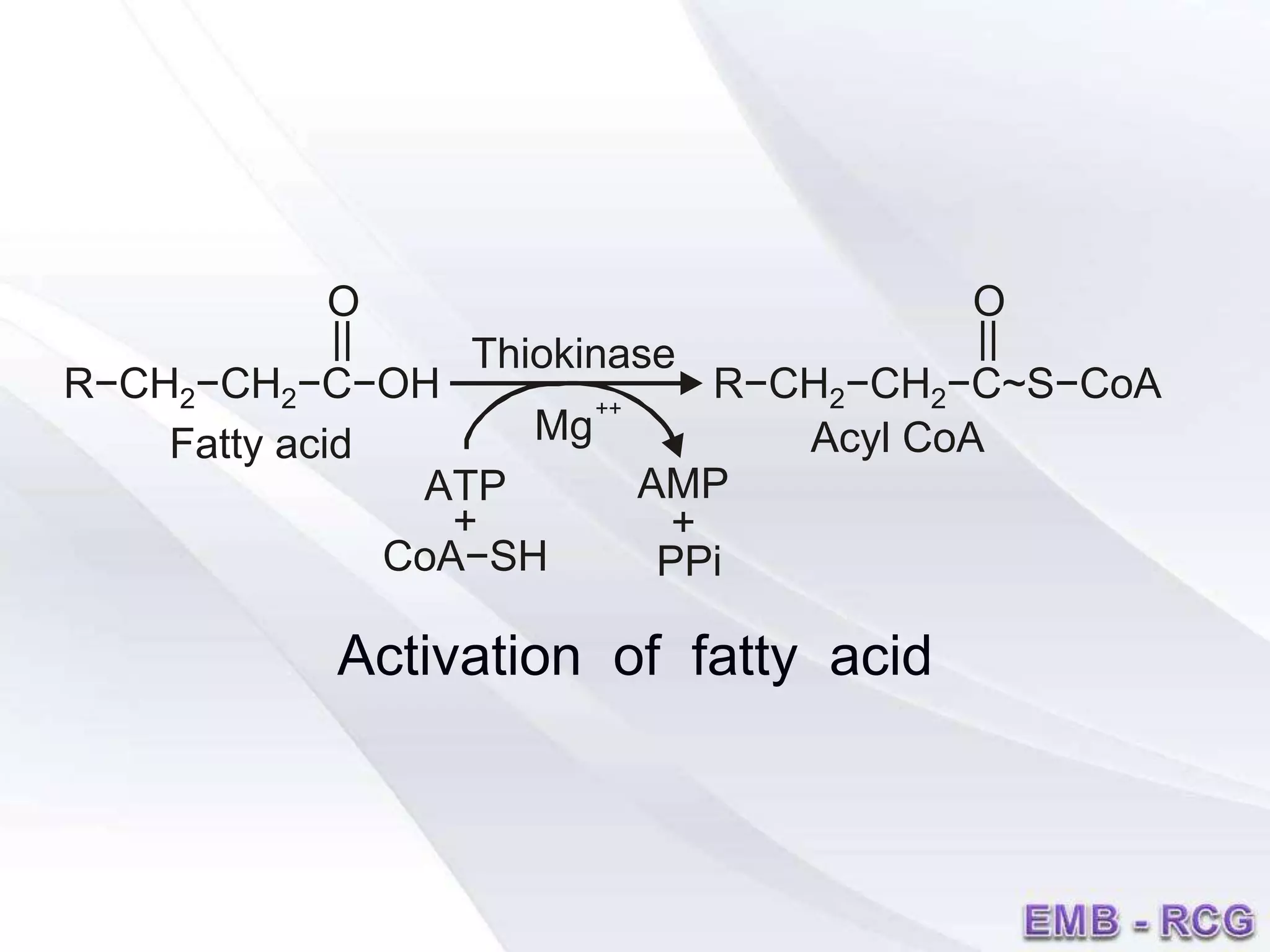 Oxidation of fatty acids | PPTX