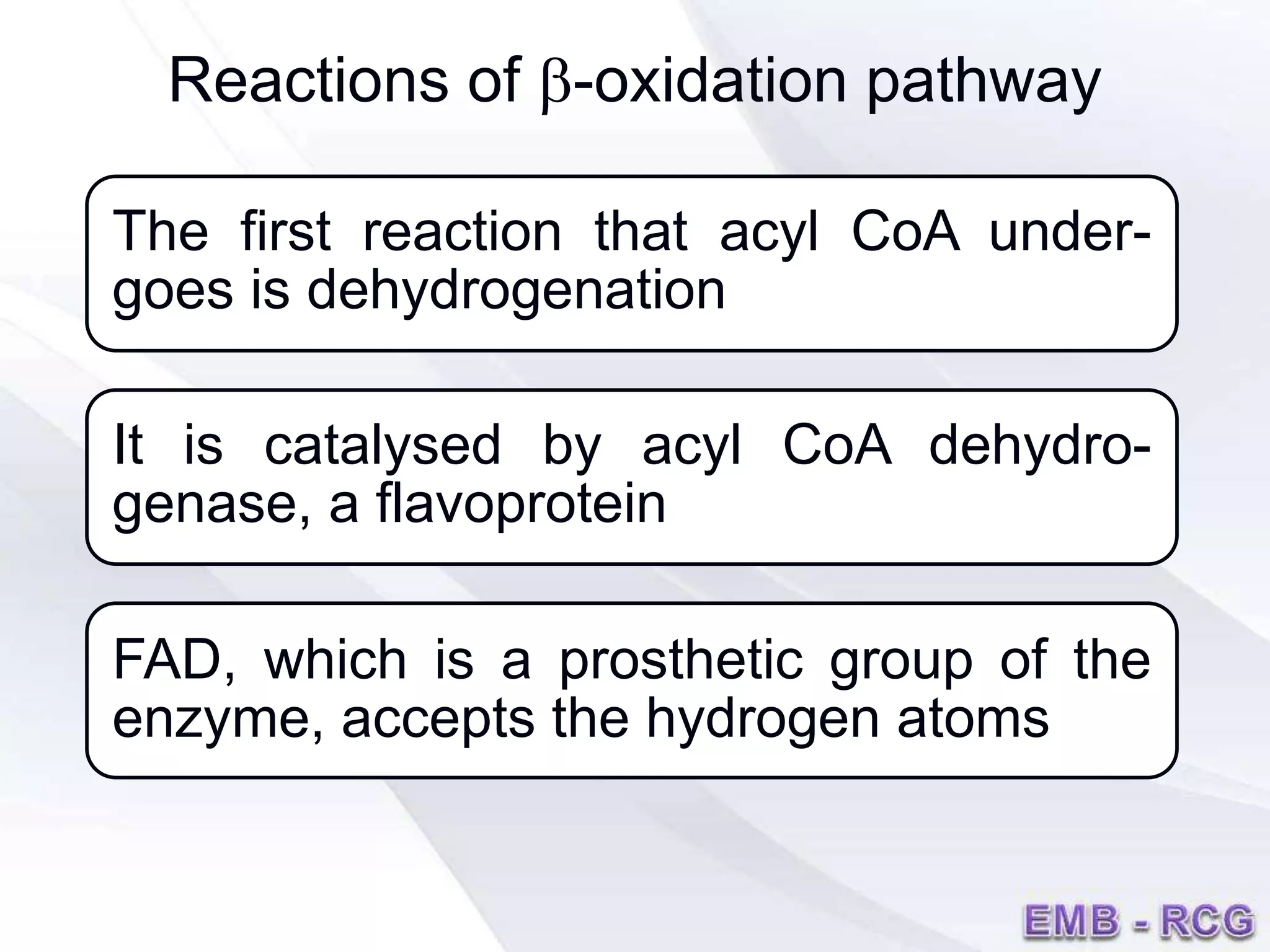 Oxidation of fatty acids | PPTX