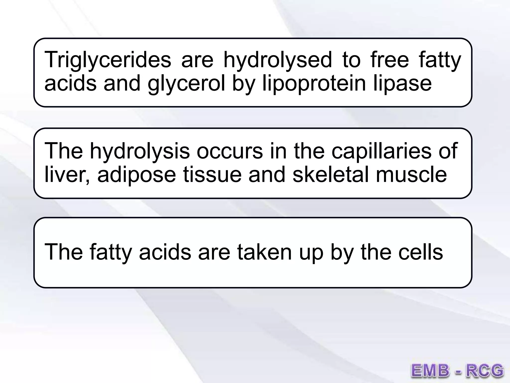 Oxidation of fatty acids | PPTX