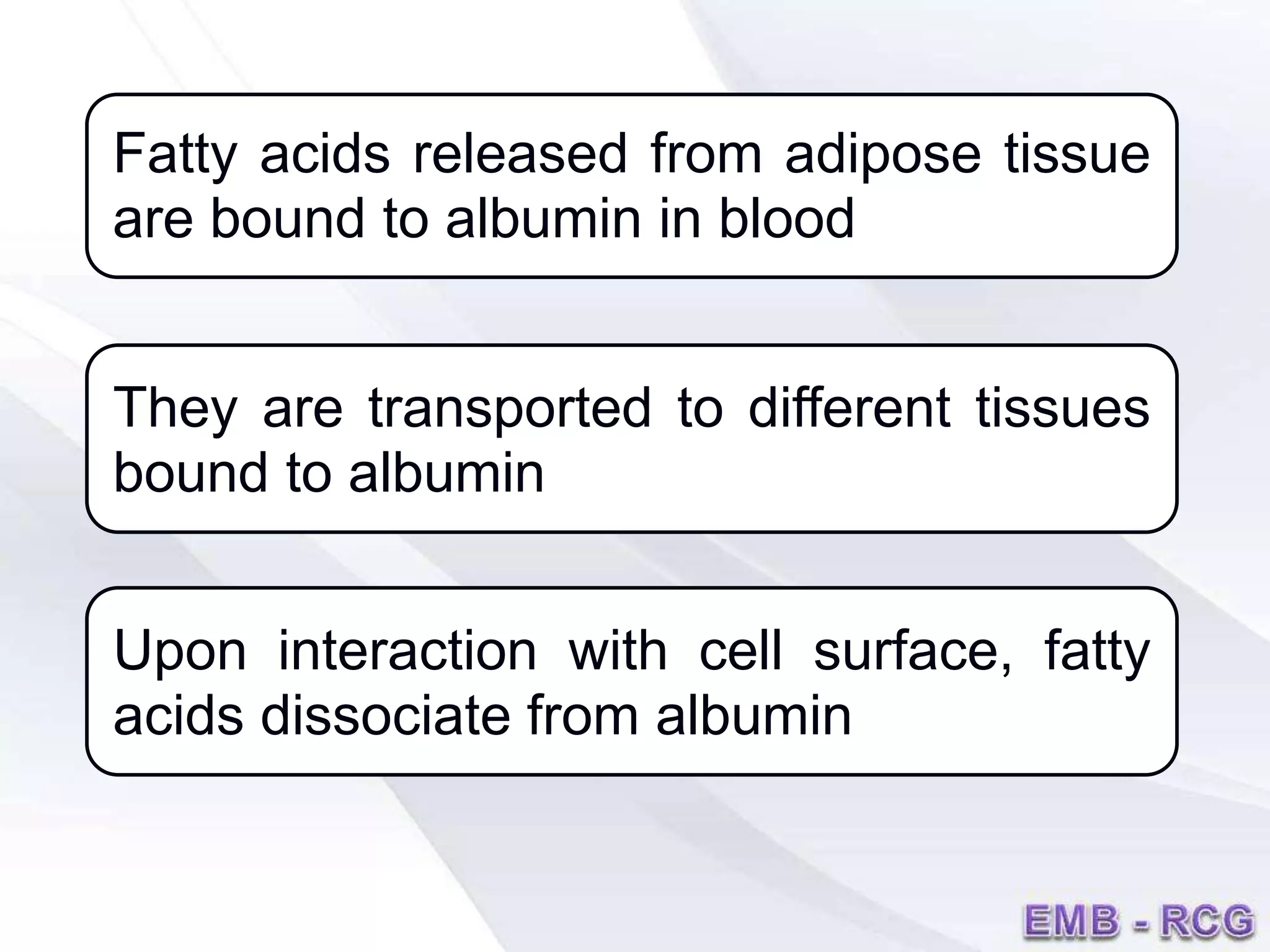 Oxidation of fatty acids | PPTX