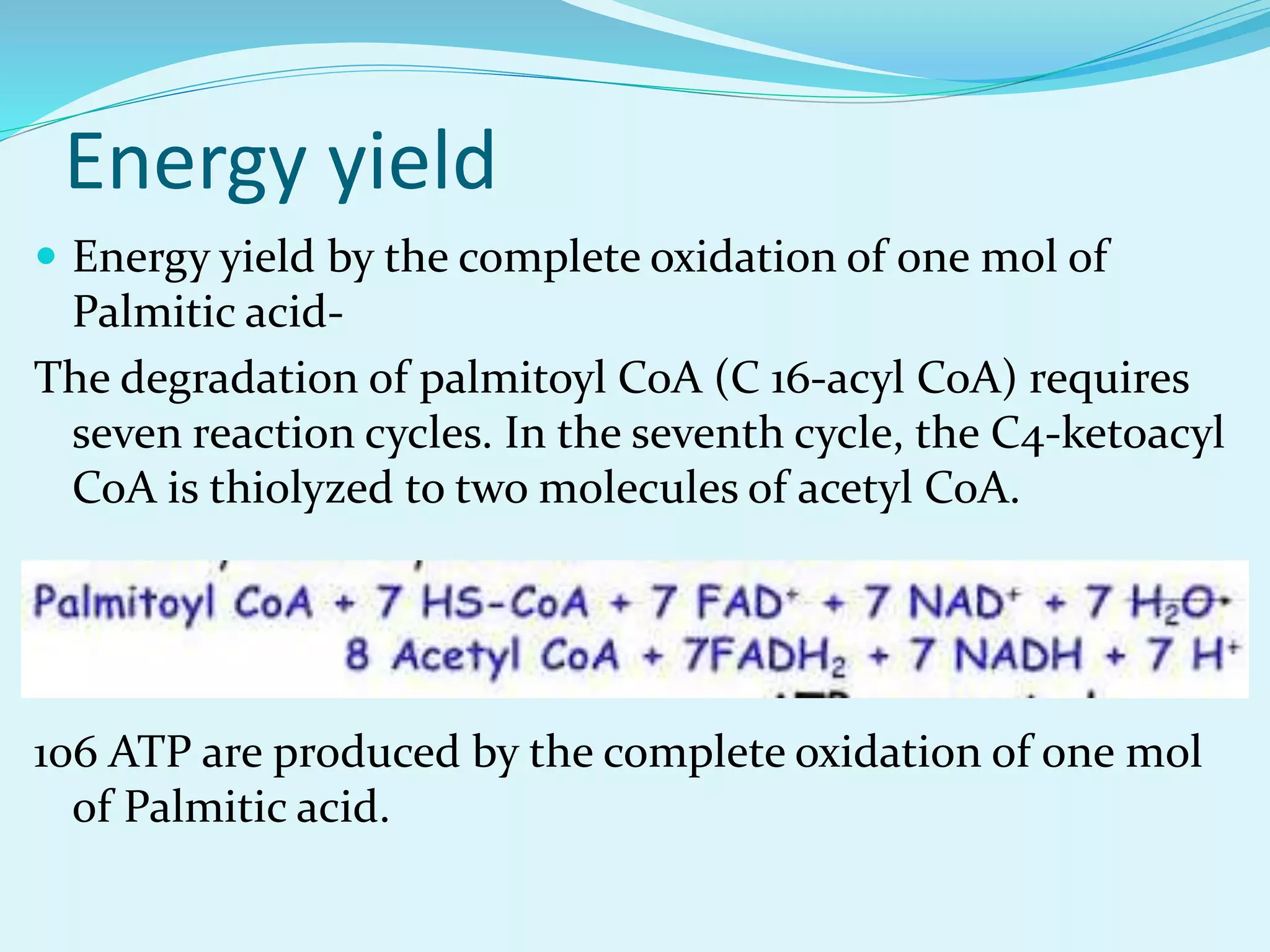 Oxidation of fatty acids | PPTX