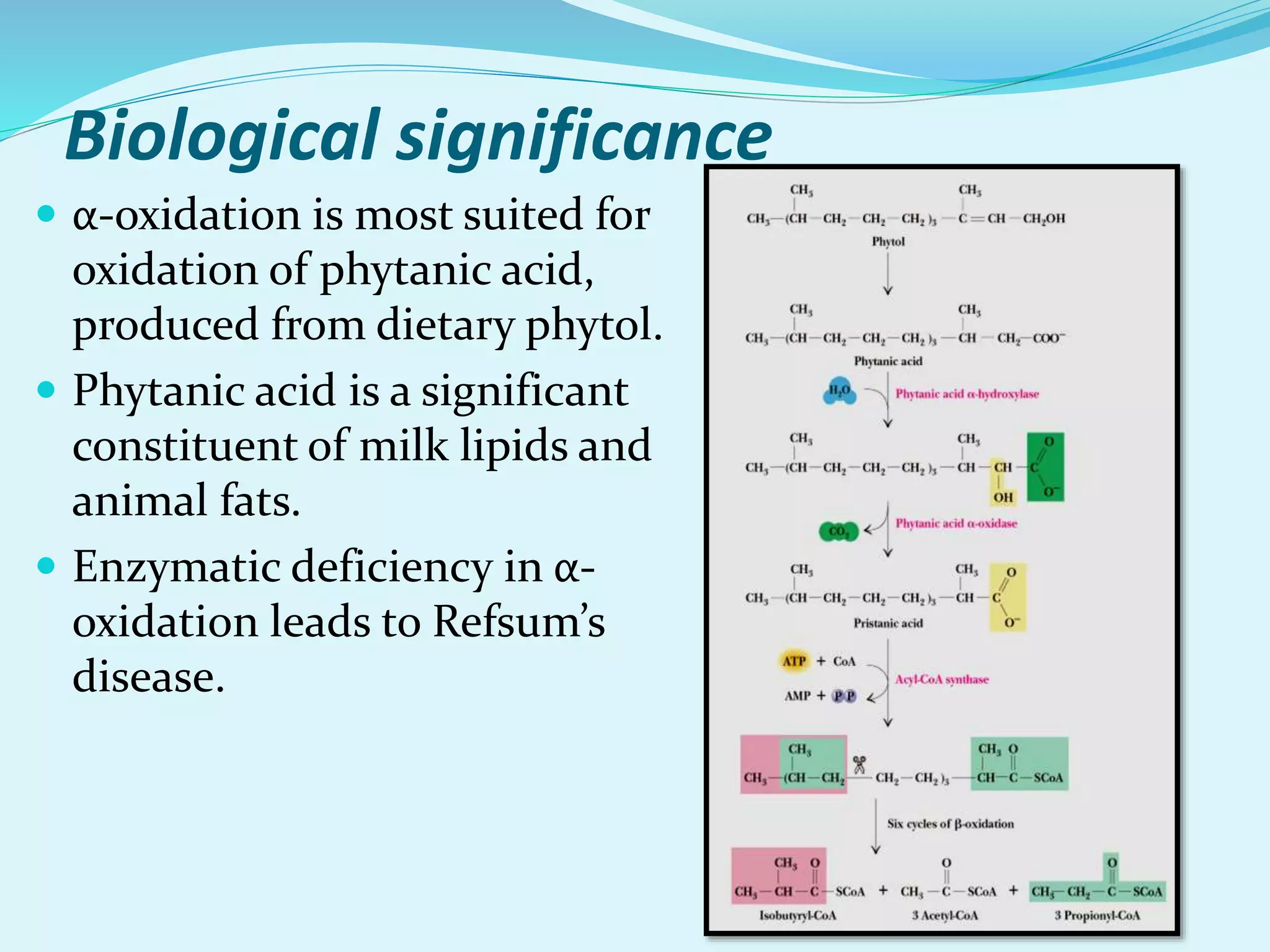 Oxidation of fatty acids | PPTX