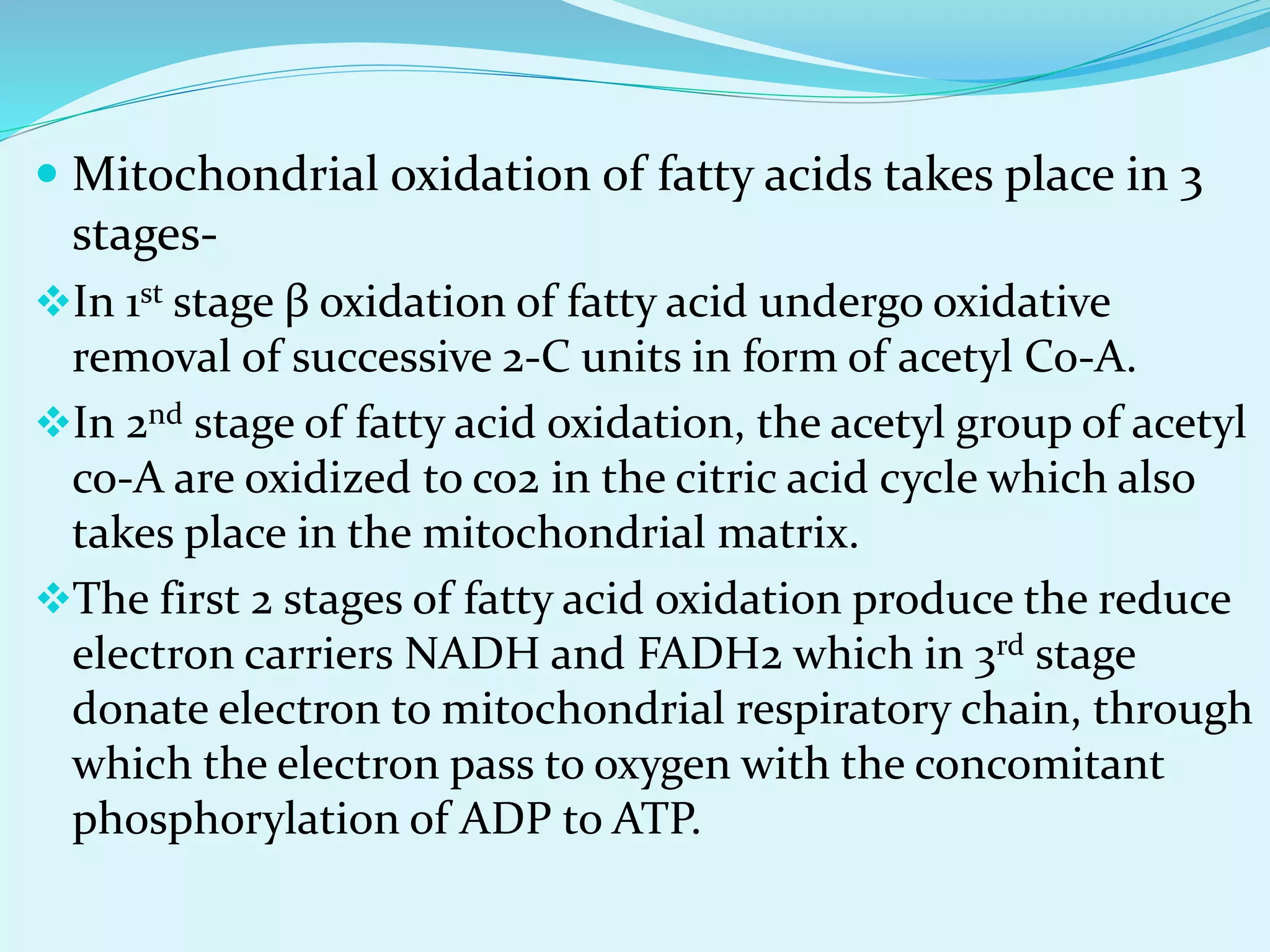 Oxidation of fatty acids | PPTX | Chemistry | Science