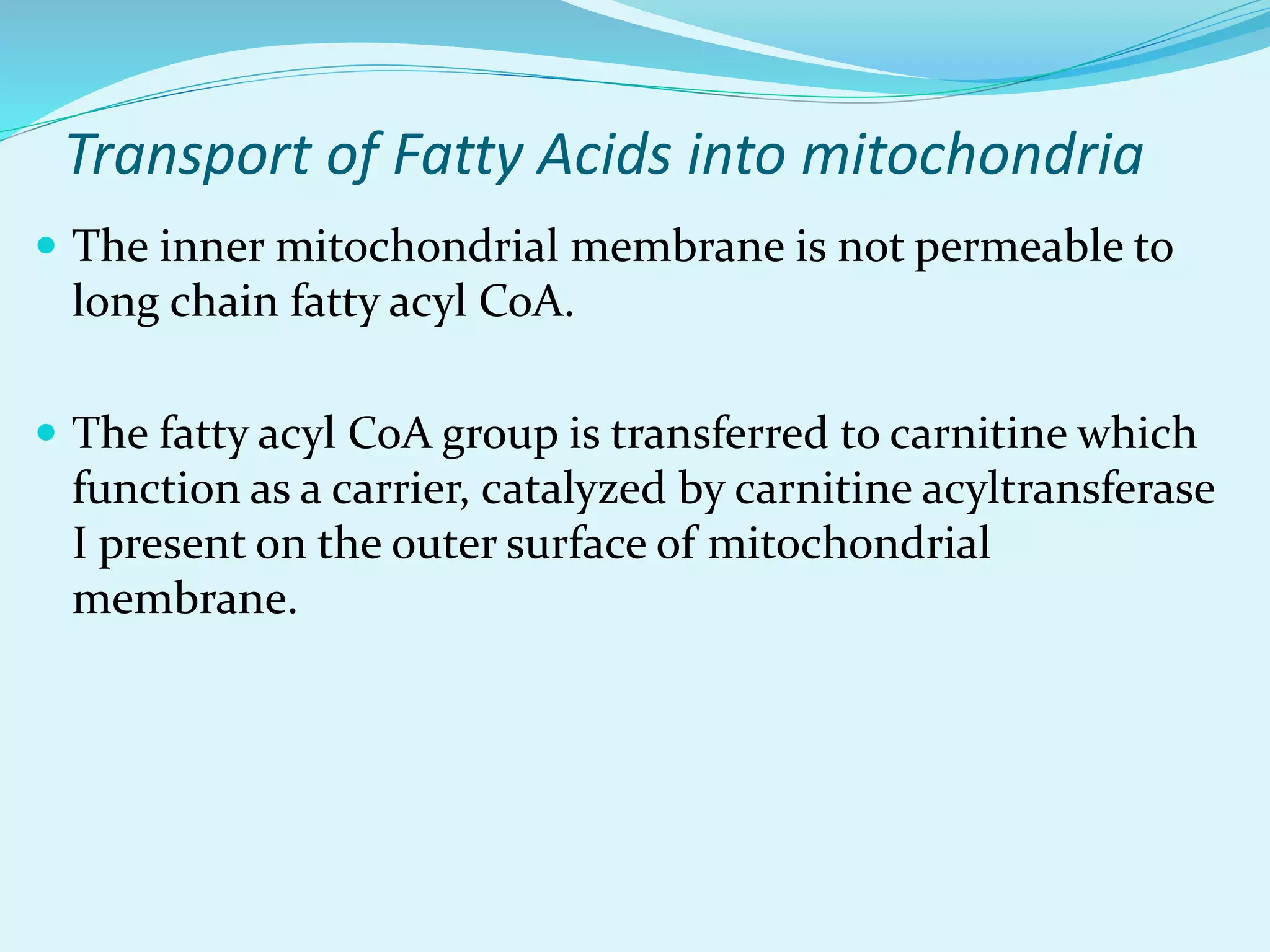 Oxidation of fatty acids | PPTX