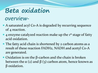 Oxidation of fatty acids | PPTX | Chemistry | Science