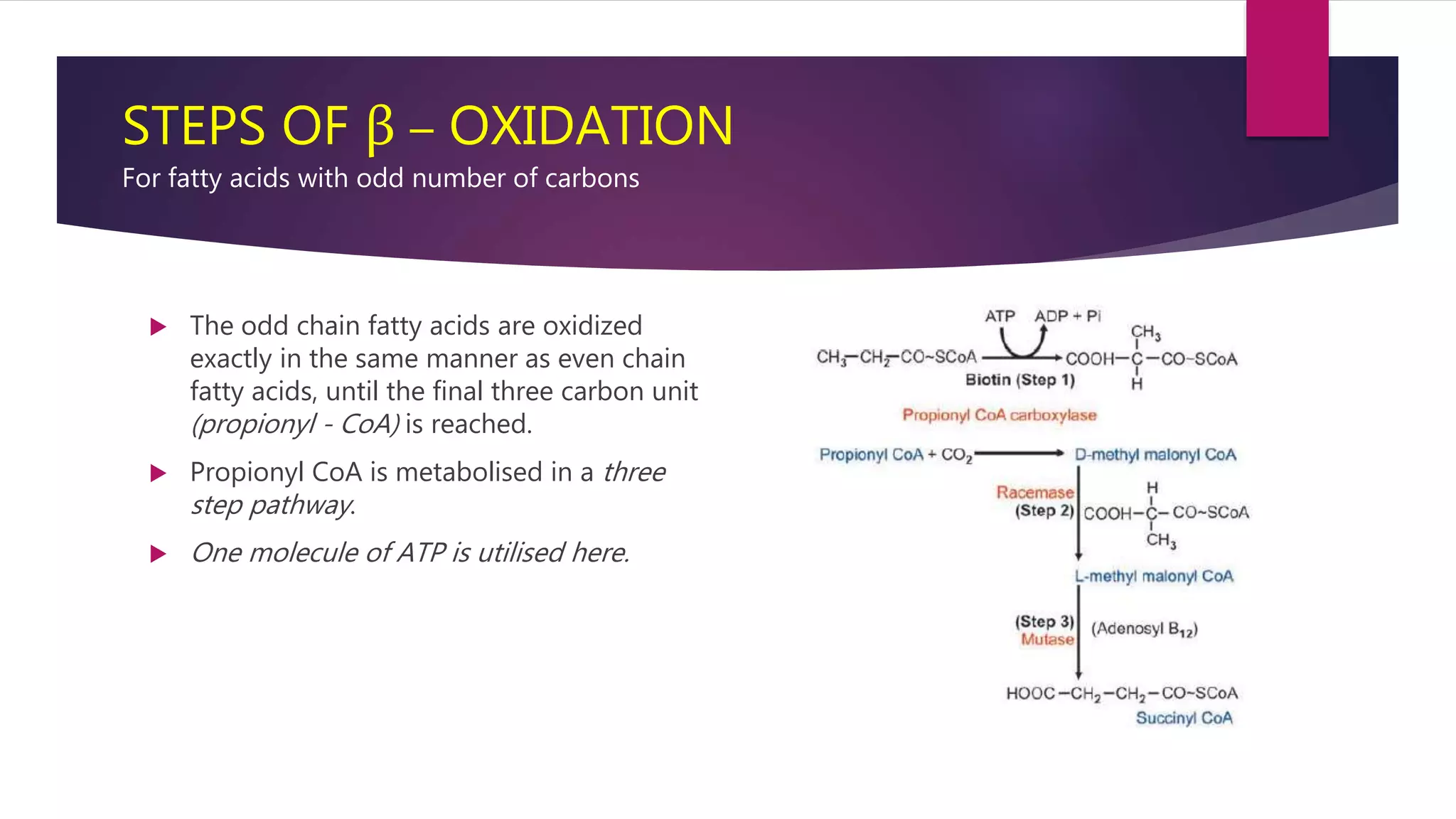 Oxidation of fatty acids | PPTX