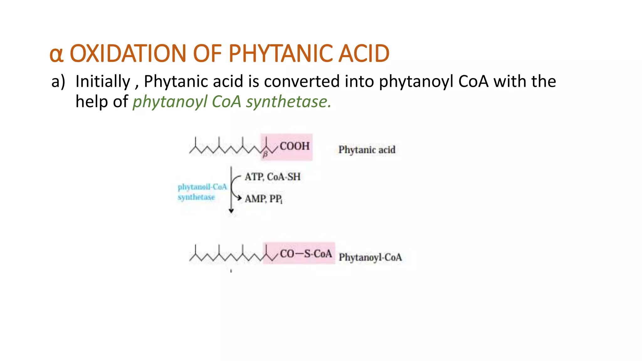 Oxidation of fatty acids | PPTX