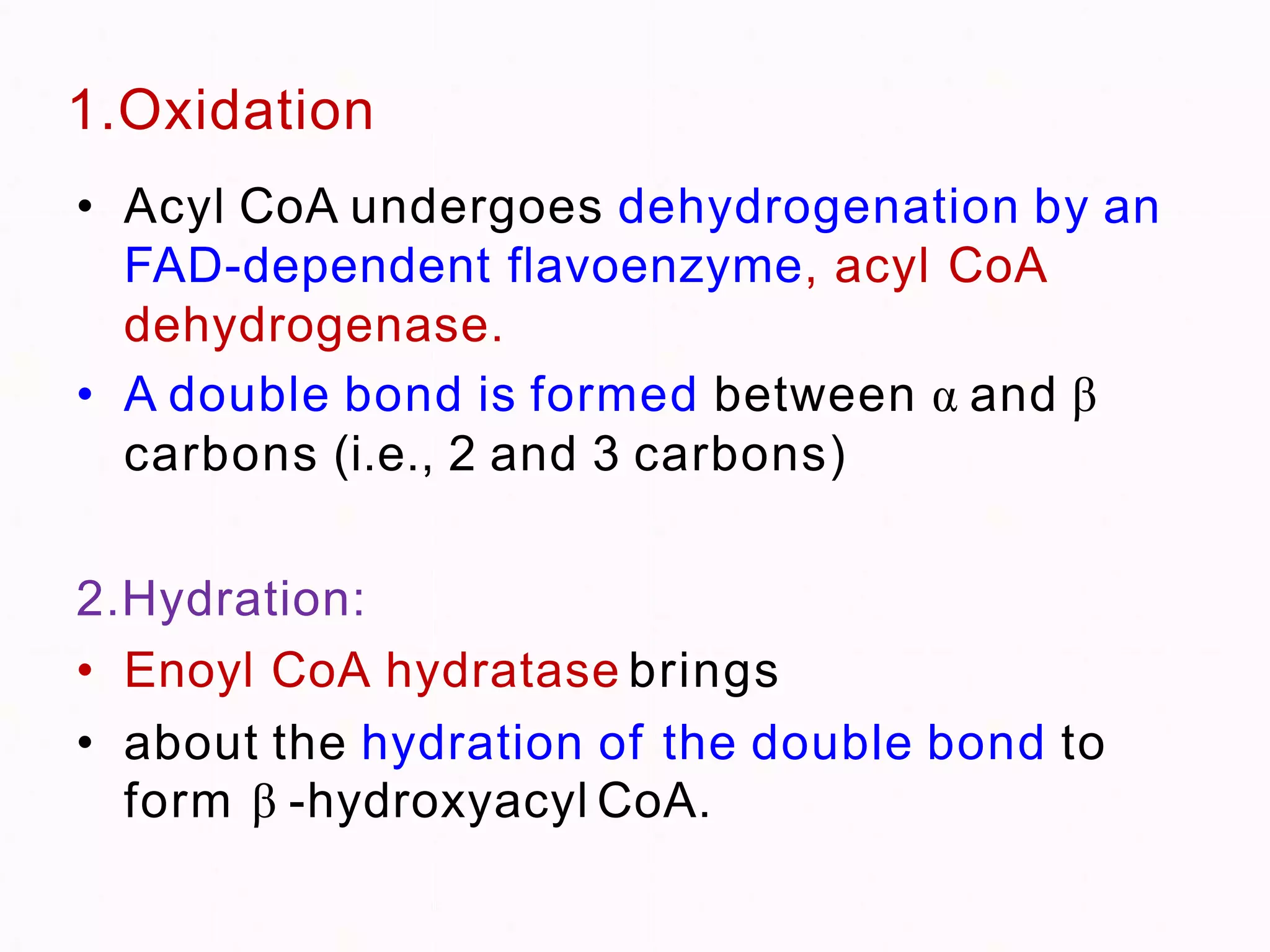 oxidation of fatty acids (palmitic acid).pptx