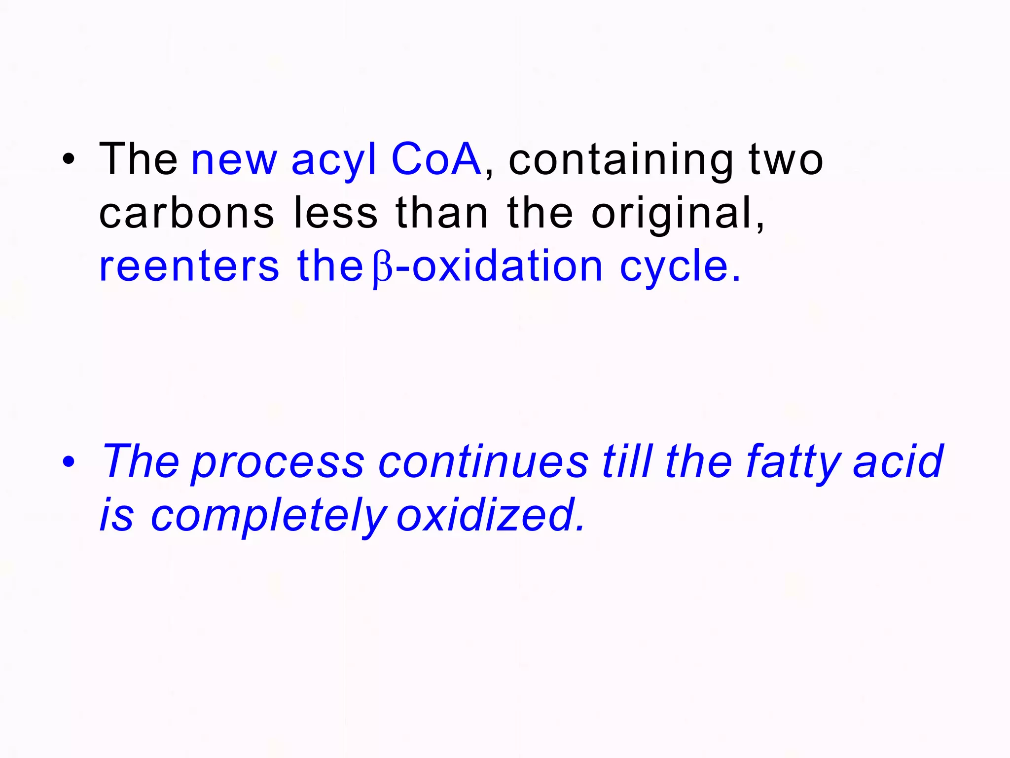 oxidation of fatty acids (palmitic acid).pptx