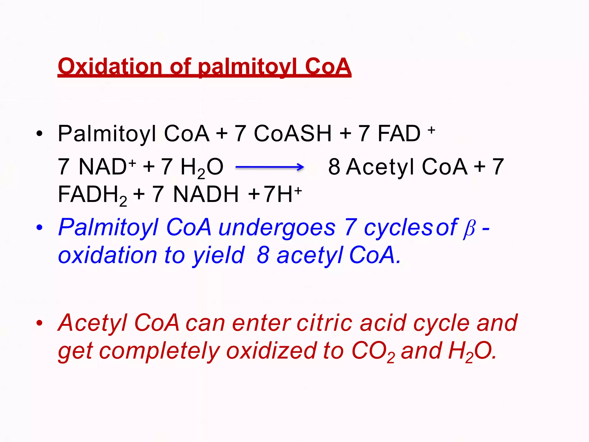 oxidation of fatty acids (palmitic acid).pptx