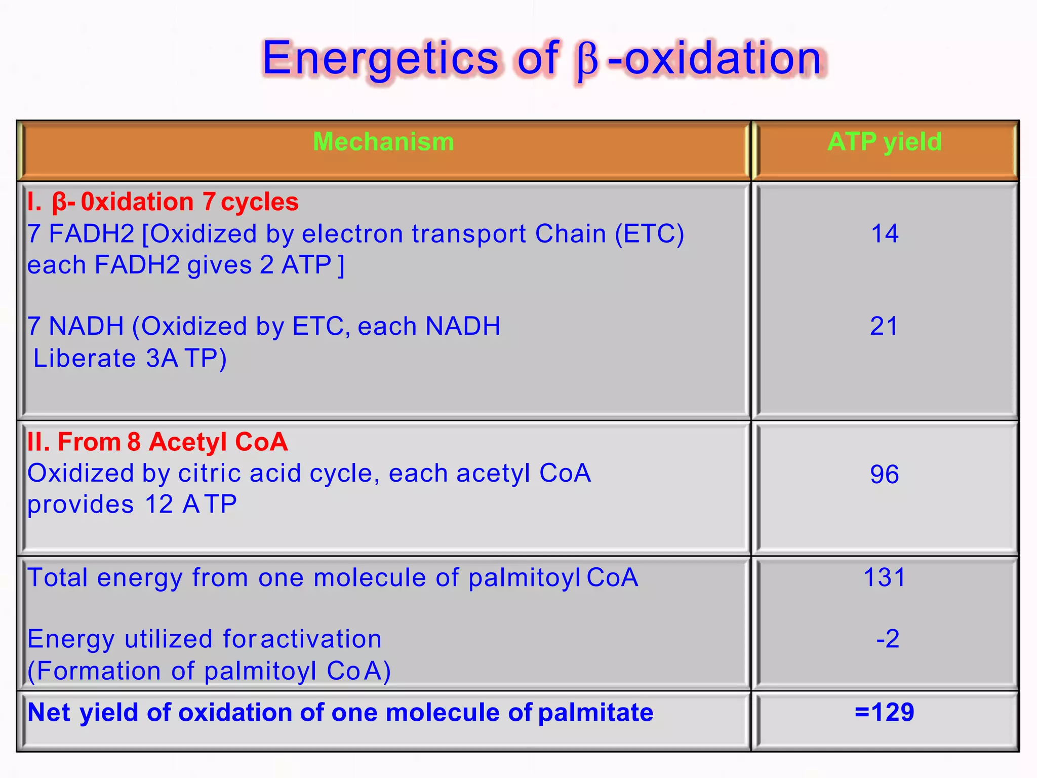oxidation of fatty acids (palmitic acid).pptx