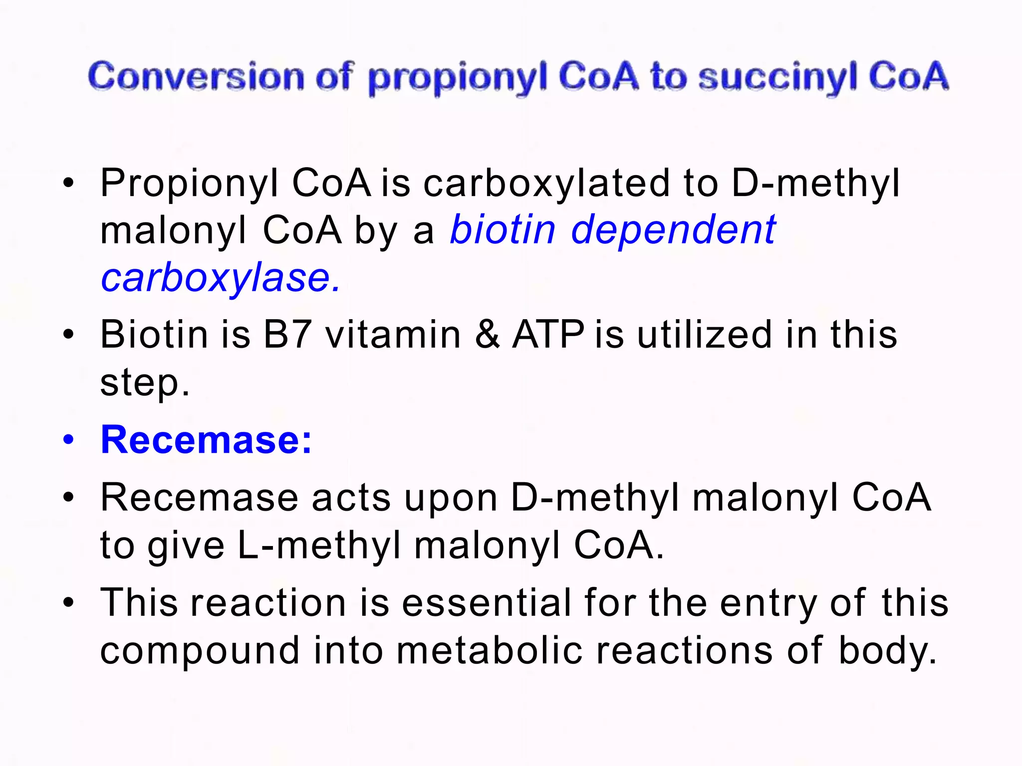 oxidation of fatty acids (palmitic acid).pptx