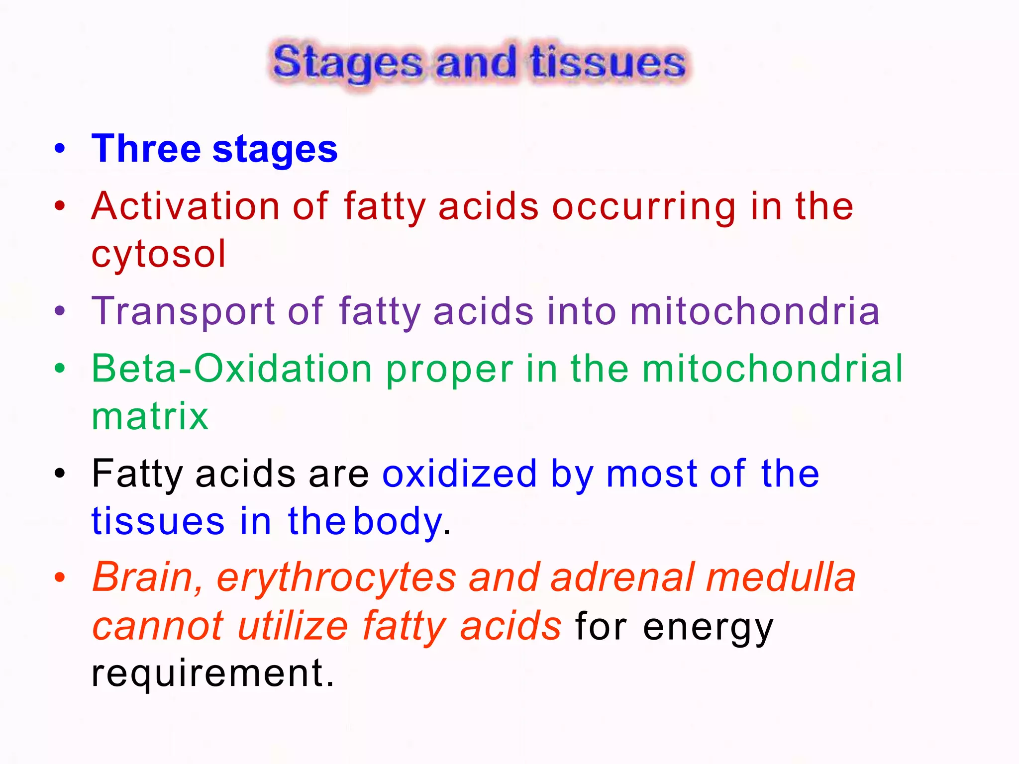 oxidation of fatty acids (palmitic acid).pptx